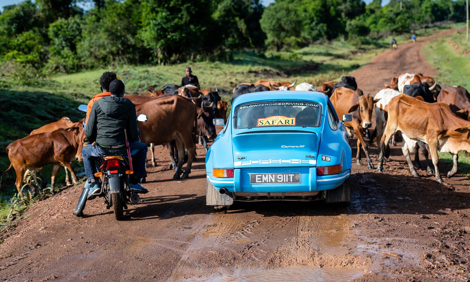 Rally the Globe - Mojo Media
